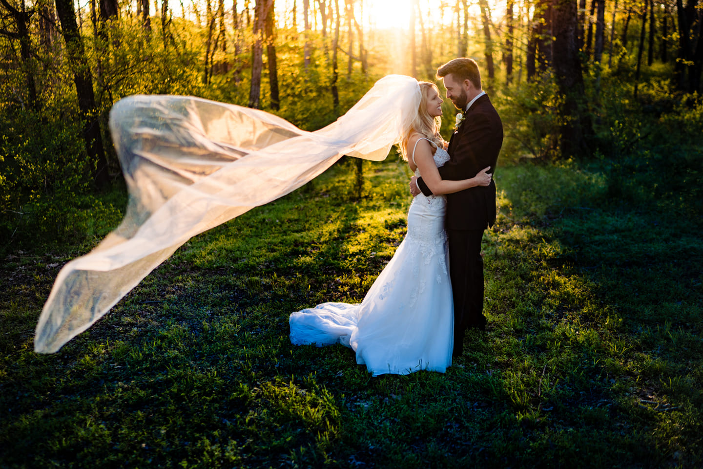 40+ Incredible Wedding Veil Photos - Wedding Maps