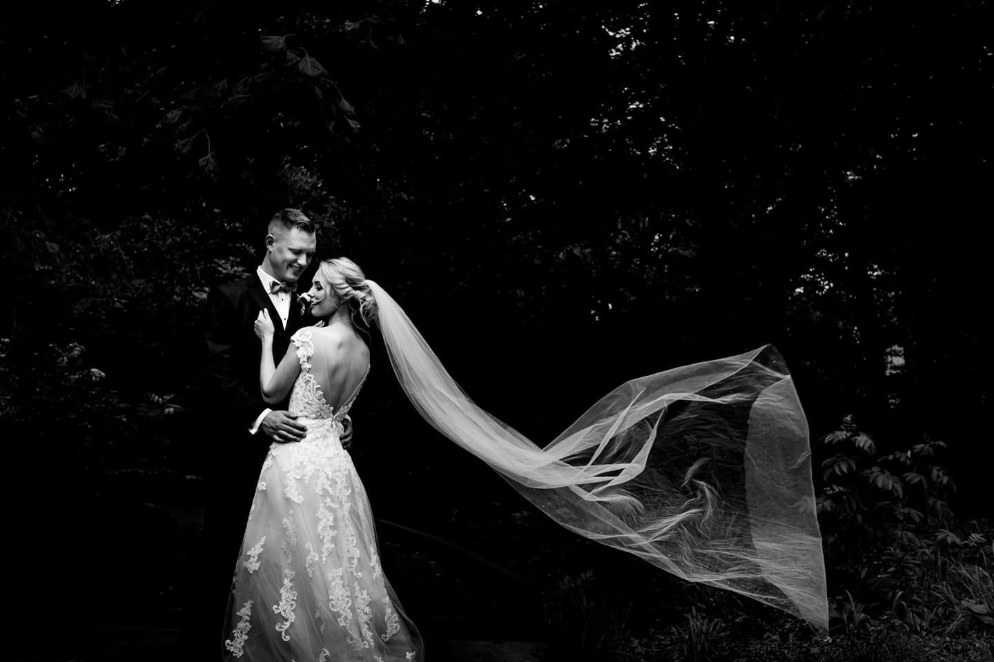 40+ Incredible Wedding Veil Photos - Wedding Maps