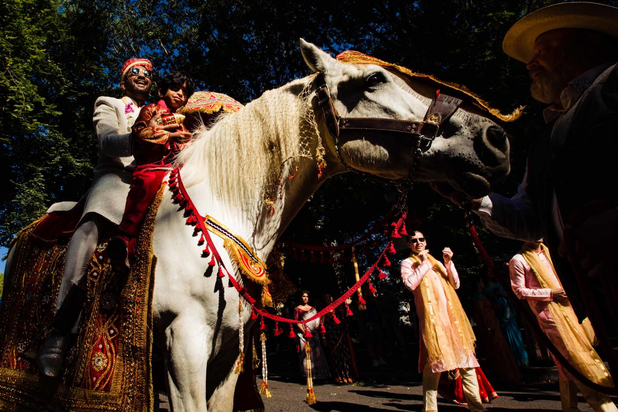 20+ Fun-Filled Indian Wedding Baraat Images Wedding Maps