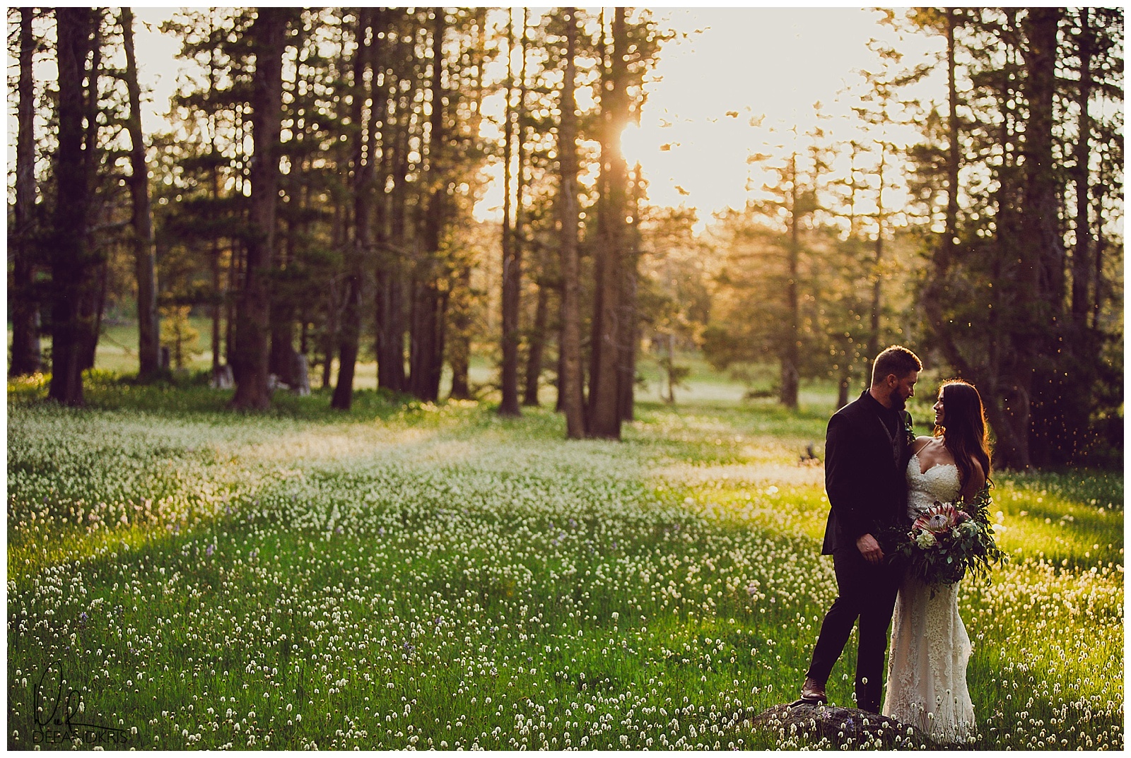 Mitchell's Mountain Meadows Venue Info on Wedding Maps