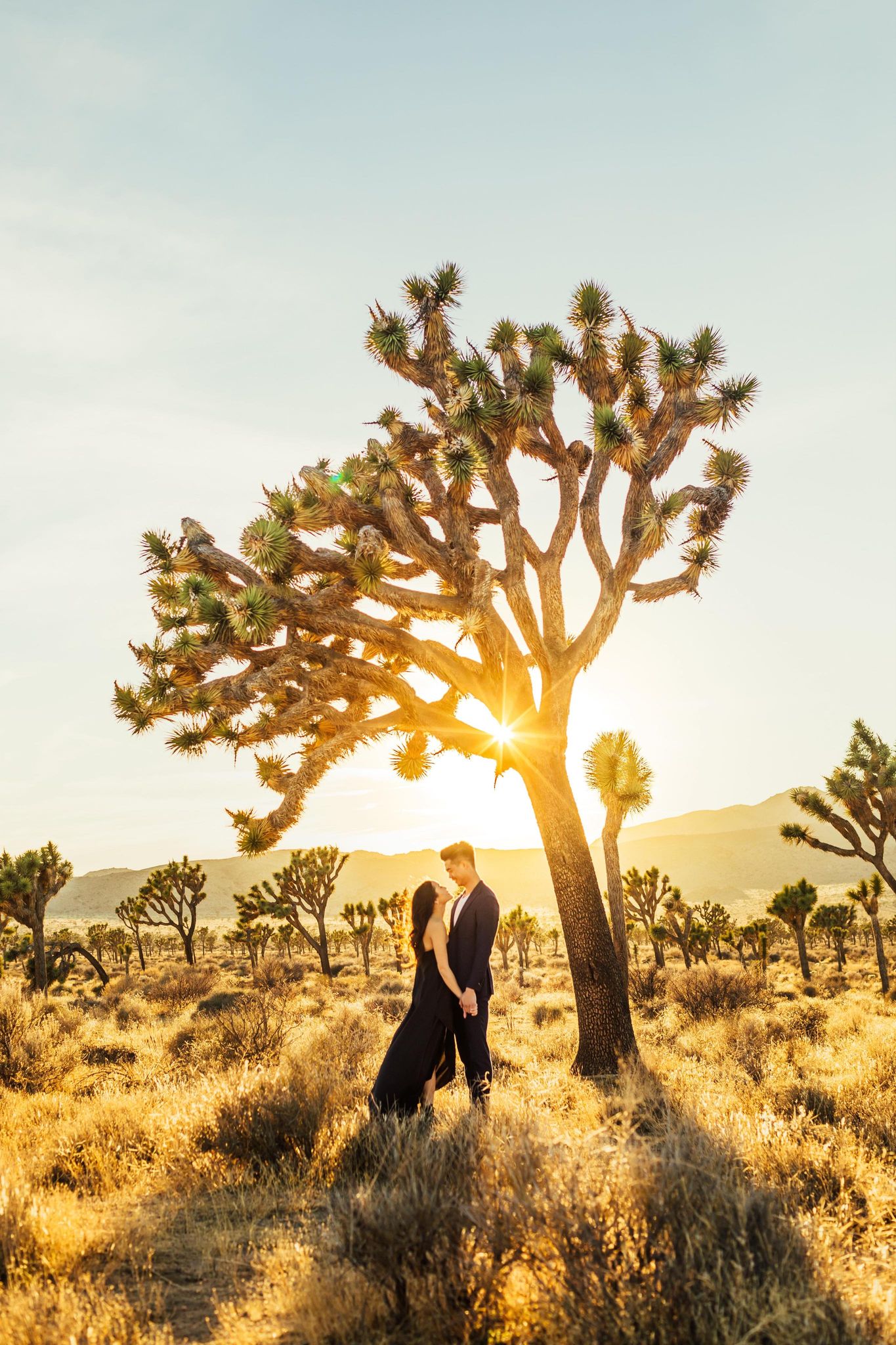 20+ Breathtaking Desert Photoshoot Examples and Tips - Wedding Maps