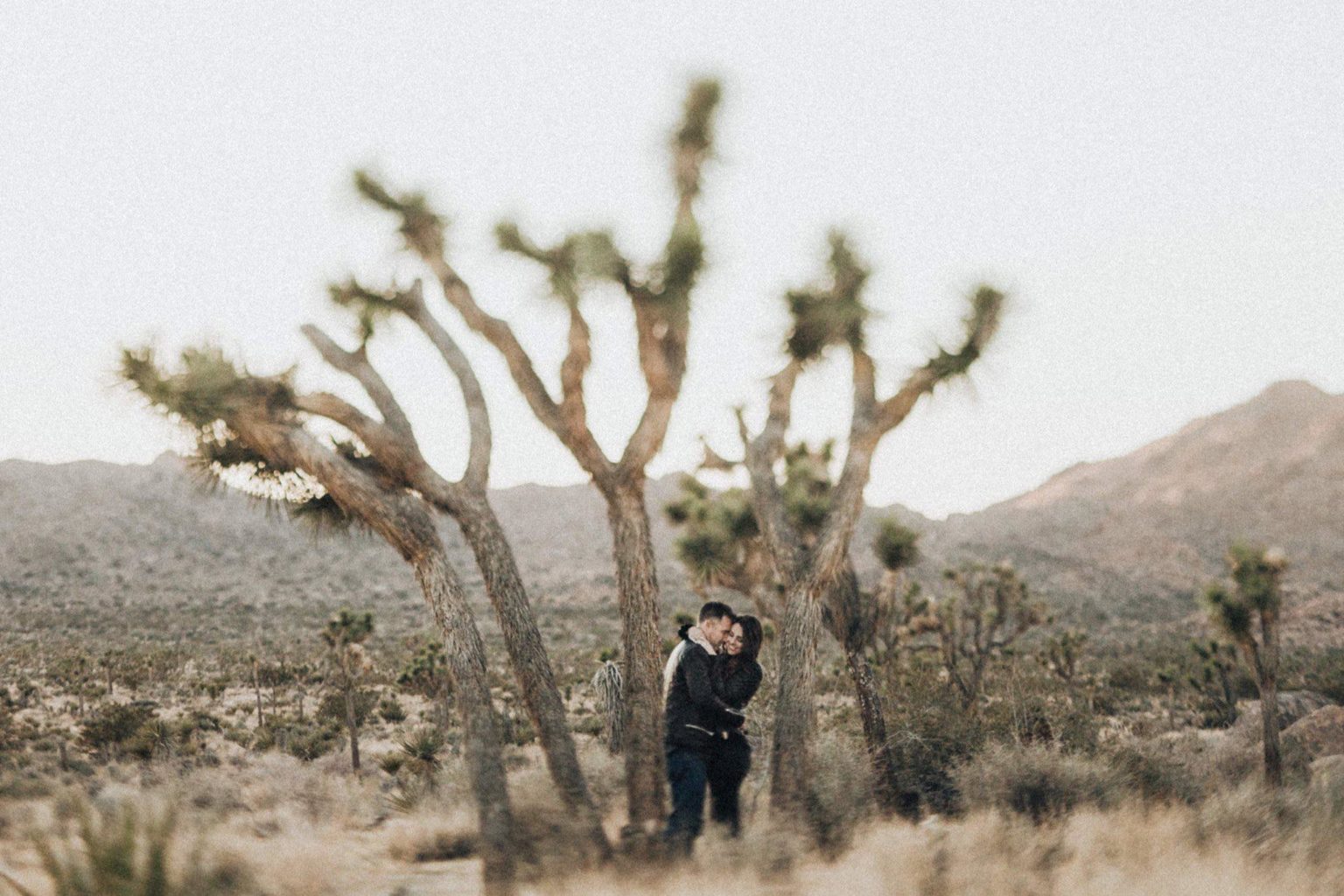 20+ Breathtaking Desert Photoshoot Examples and Tips - Wedding Maps