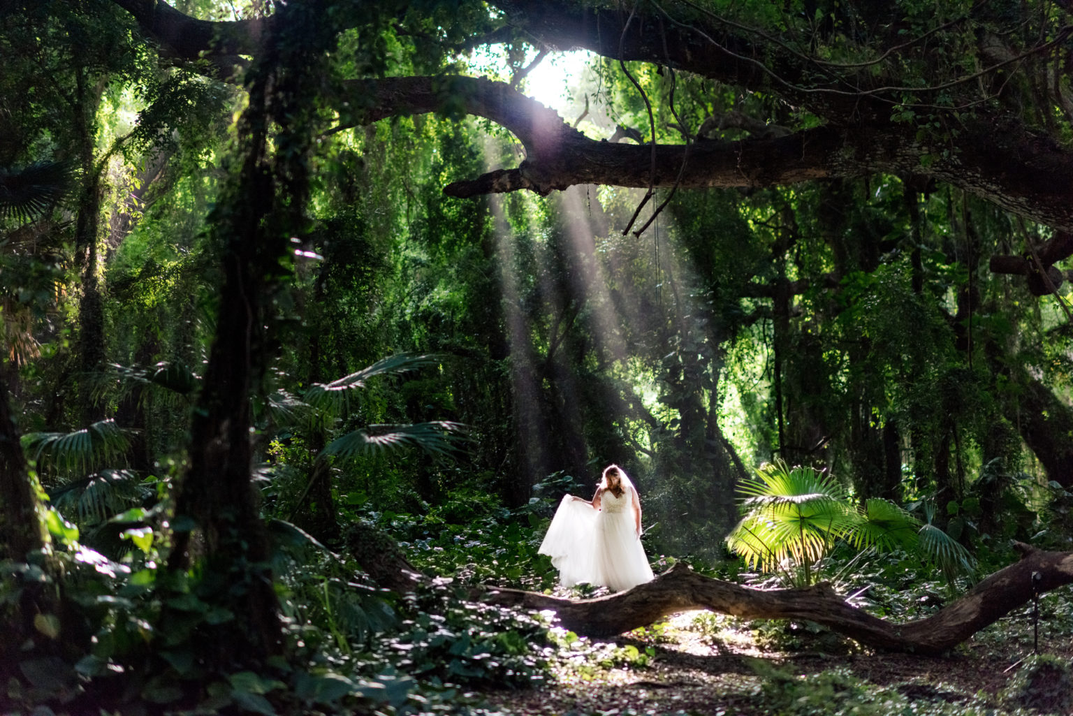 30 Beautiful Forest Wedding Photos - Wedding Maps