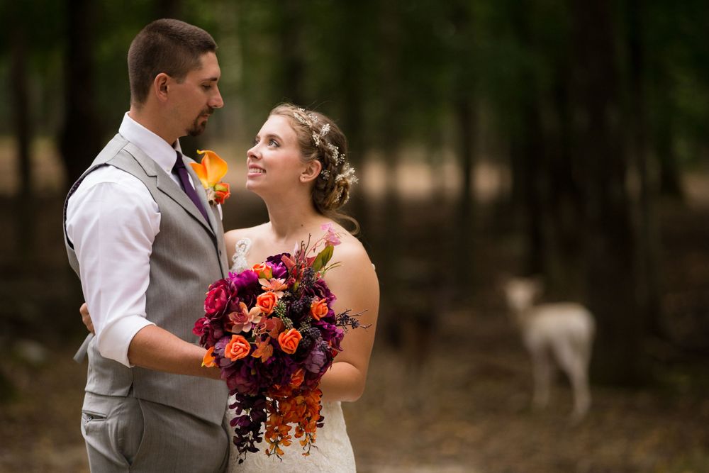 Southwick Zoo Venue Info on Wedding Maps