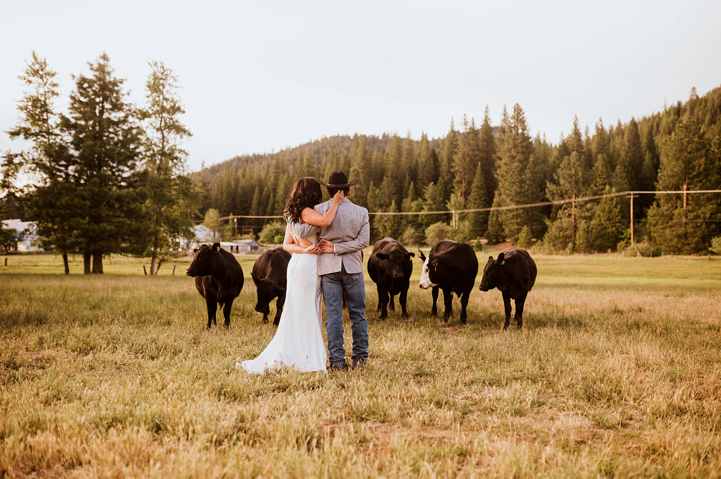 GOT Photography Profile on Wedding Maps GOT Photography Profile on Wedding Maps